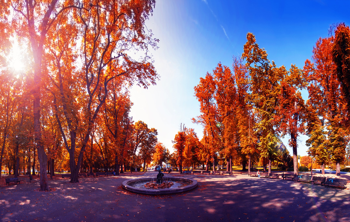 Why travelling Europe in autumn is one of the best moves you can make!
