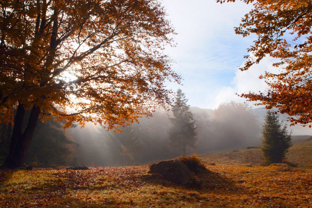 Best Time To Visit Europe – Seasons in Europe – Expat Explore Travel