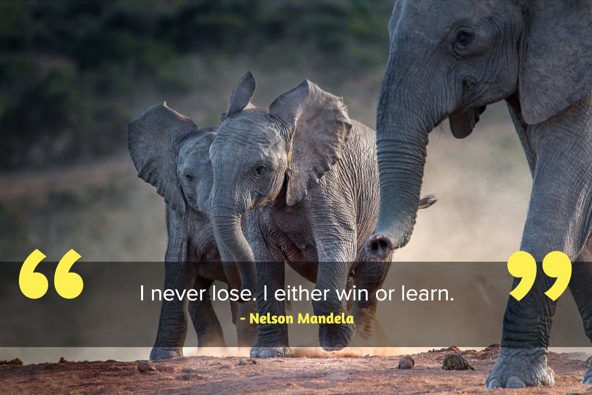 Nelson Mandela Day Quotes - Inspiring Quotes - Expat Explore
