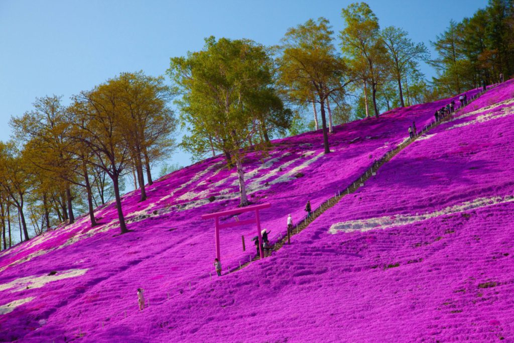 Barbie Day - Top Pink Places To See Around The World - Barbies